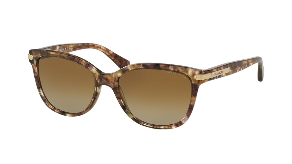 Coach L109 HC8132 Sunglasses . Coach Sunglasses for Women.